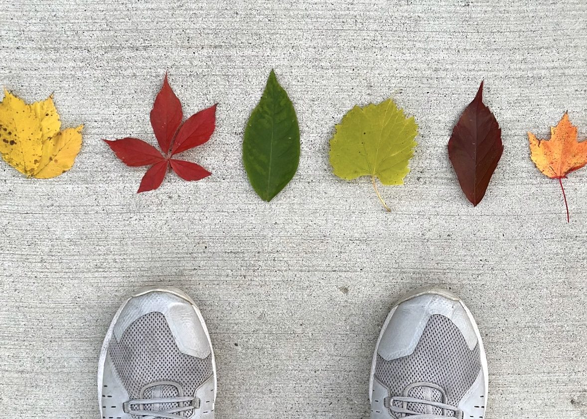 The Official Michigan Seasons – In Michigan